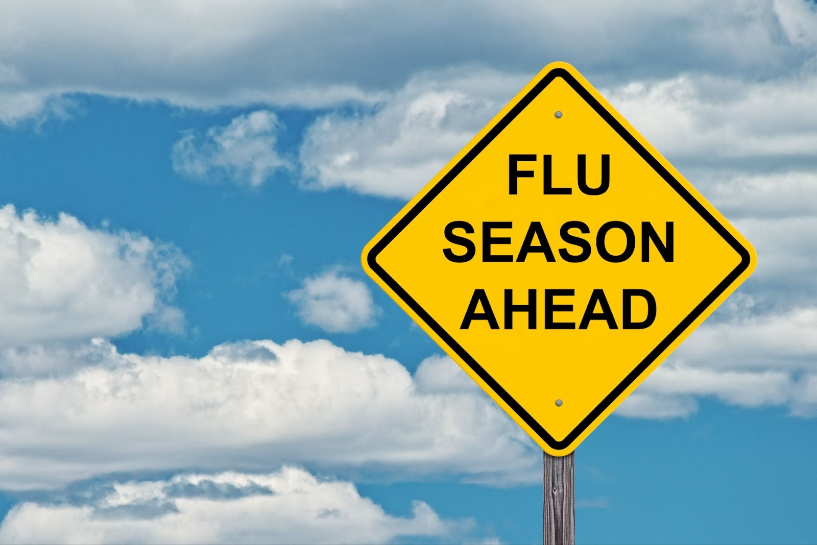 Flu Season: What Australia's Outbreak Means for the US